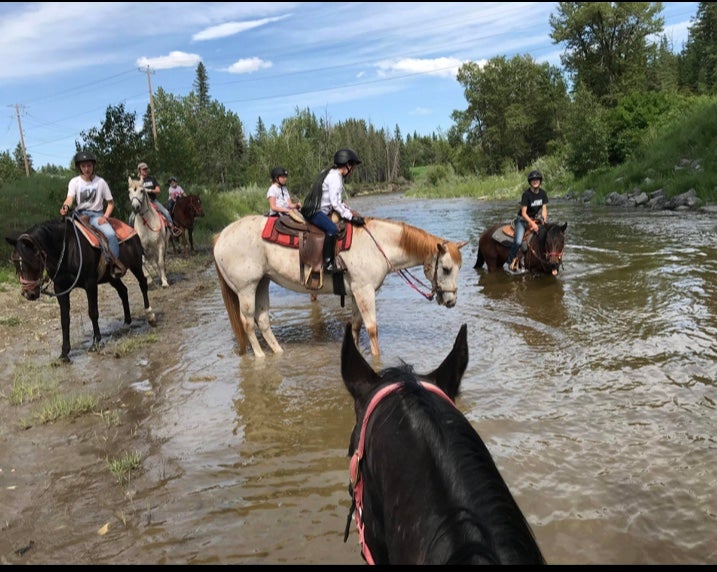 Full Day Horse Camp | Horsin Around Trail Rides & Horseback Riding Camps